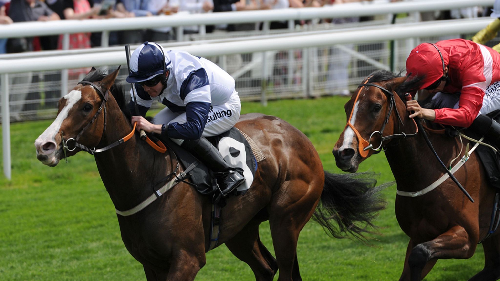 Molecomb next test for speedster Patience Alexander | Racing News | Sky ...