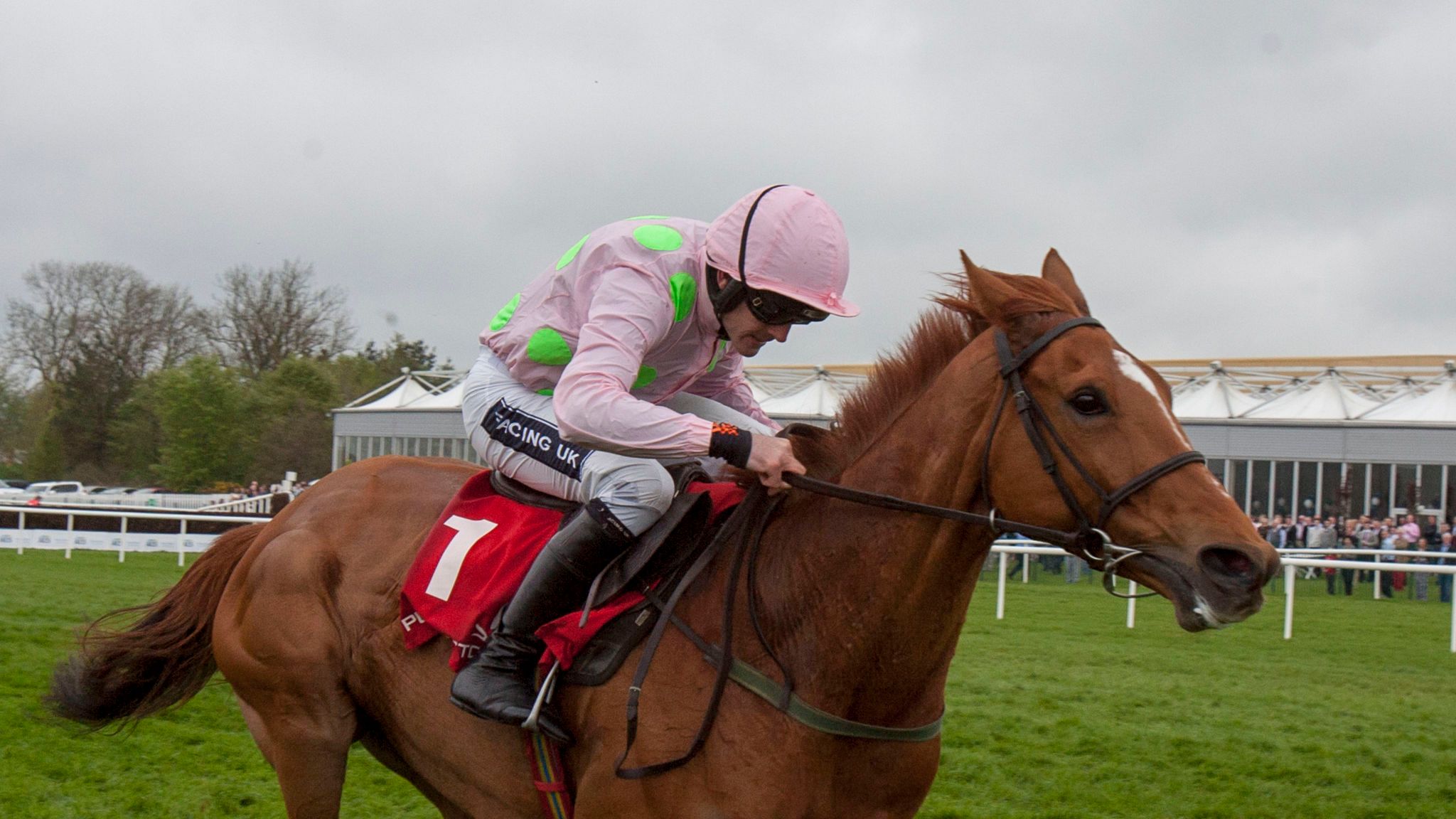 Cheltenham Festival: Annie Power could tackle the OLBG Mares' Hurdle in ...