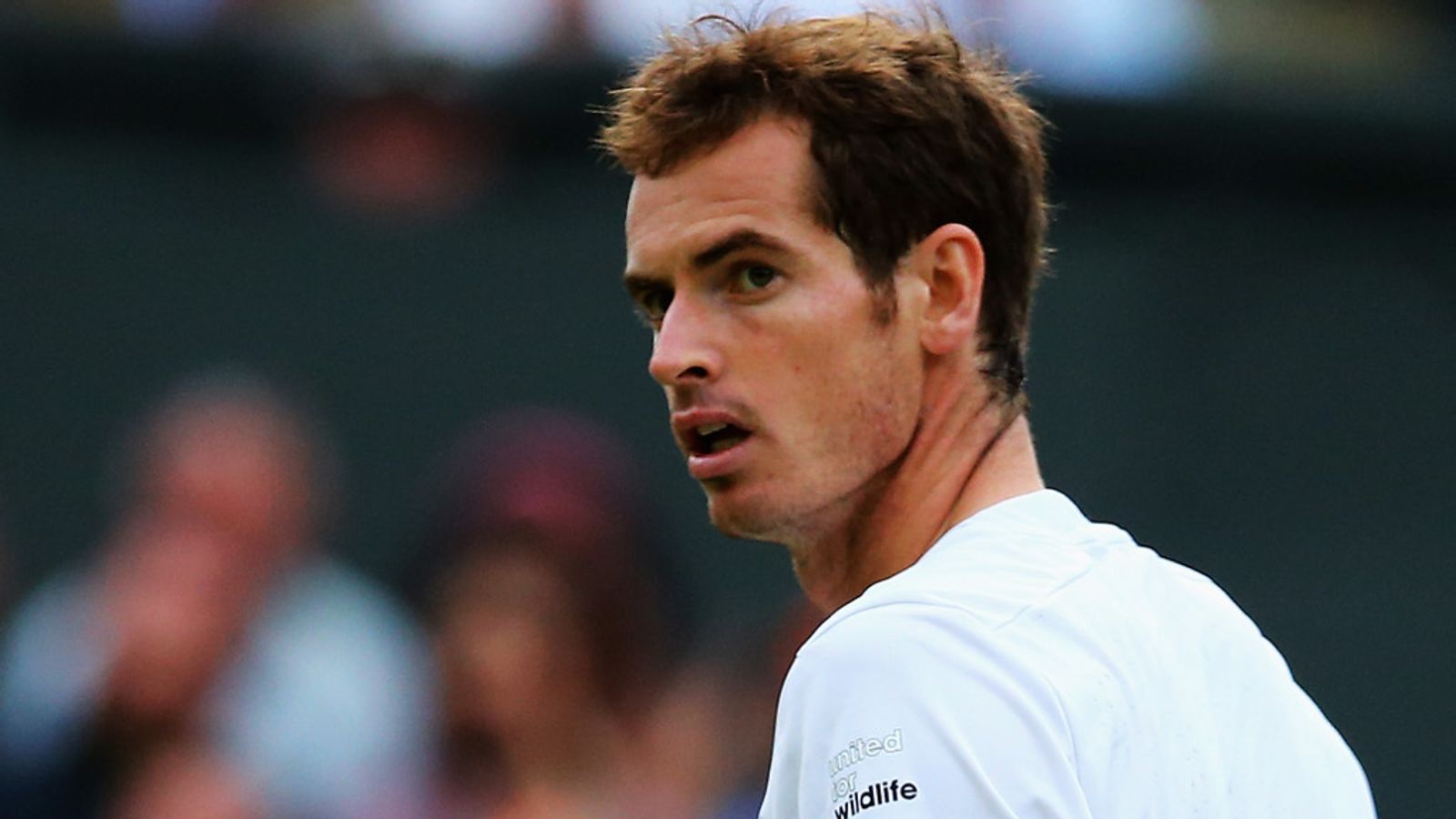 ATP Toronto Masters: Tim Clement previews the event and picks out the ...