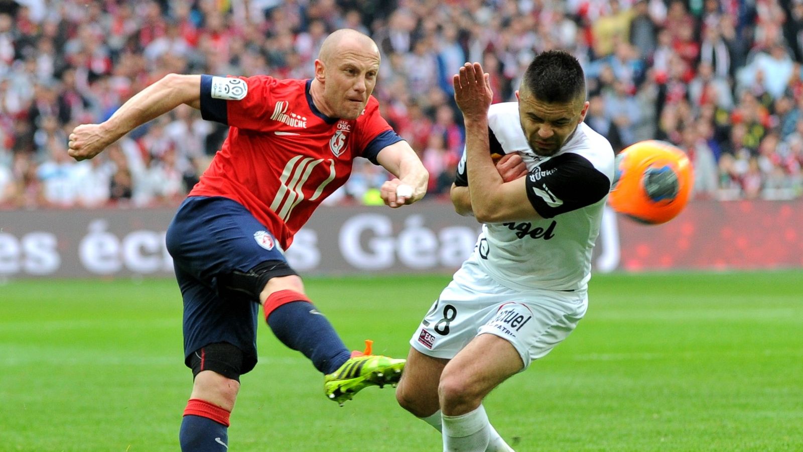 Ligue 1: Florent Balmont has signed a new contract to keep him at Lille ...