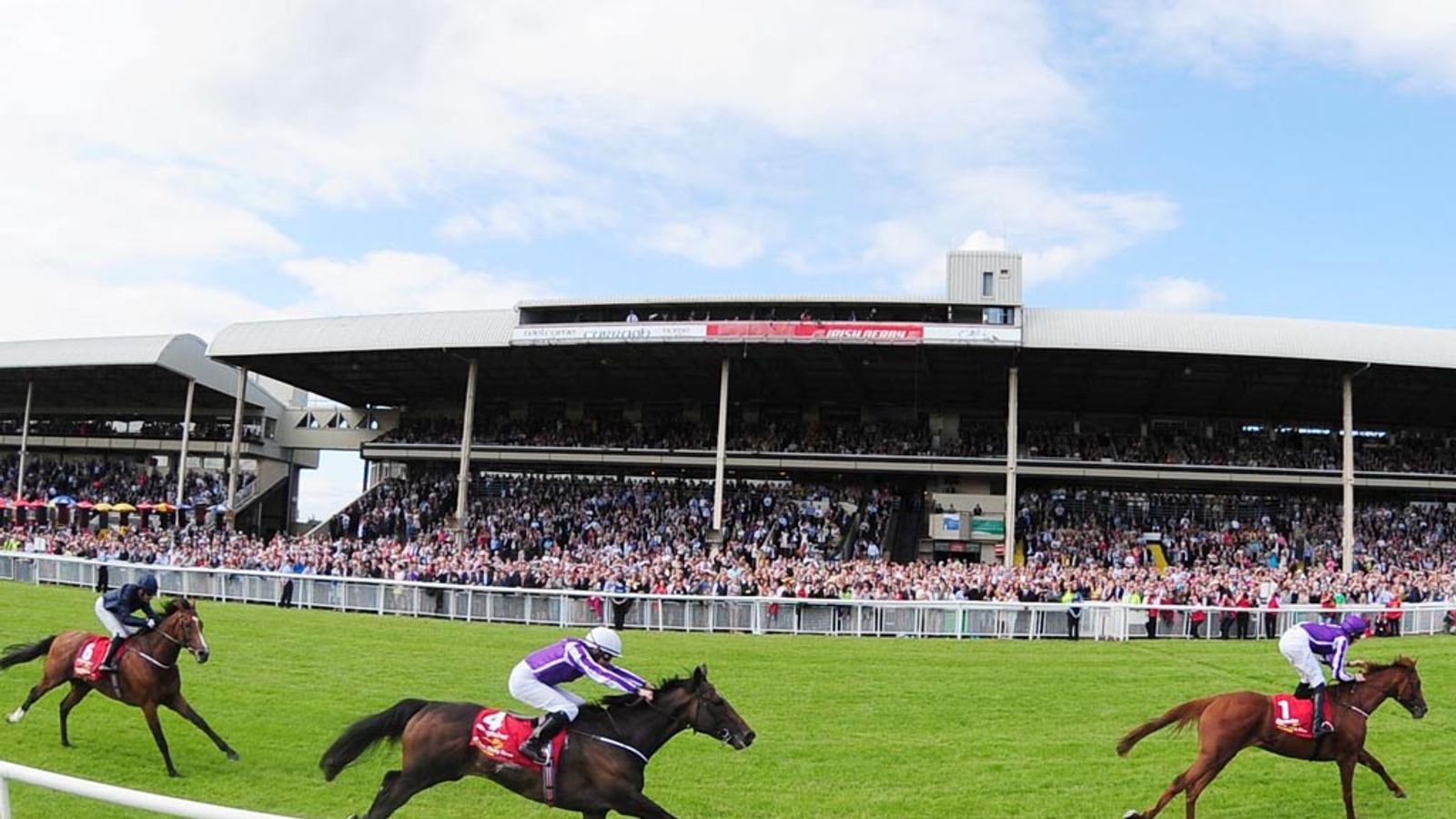 Tom Cleary fancies Queen of Alba in Irish Lincolnshire at the Curragh ...
