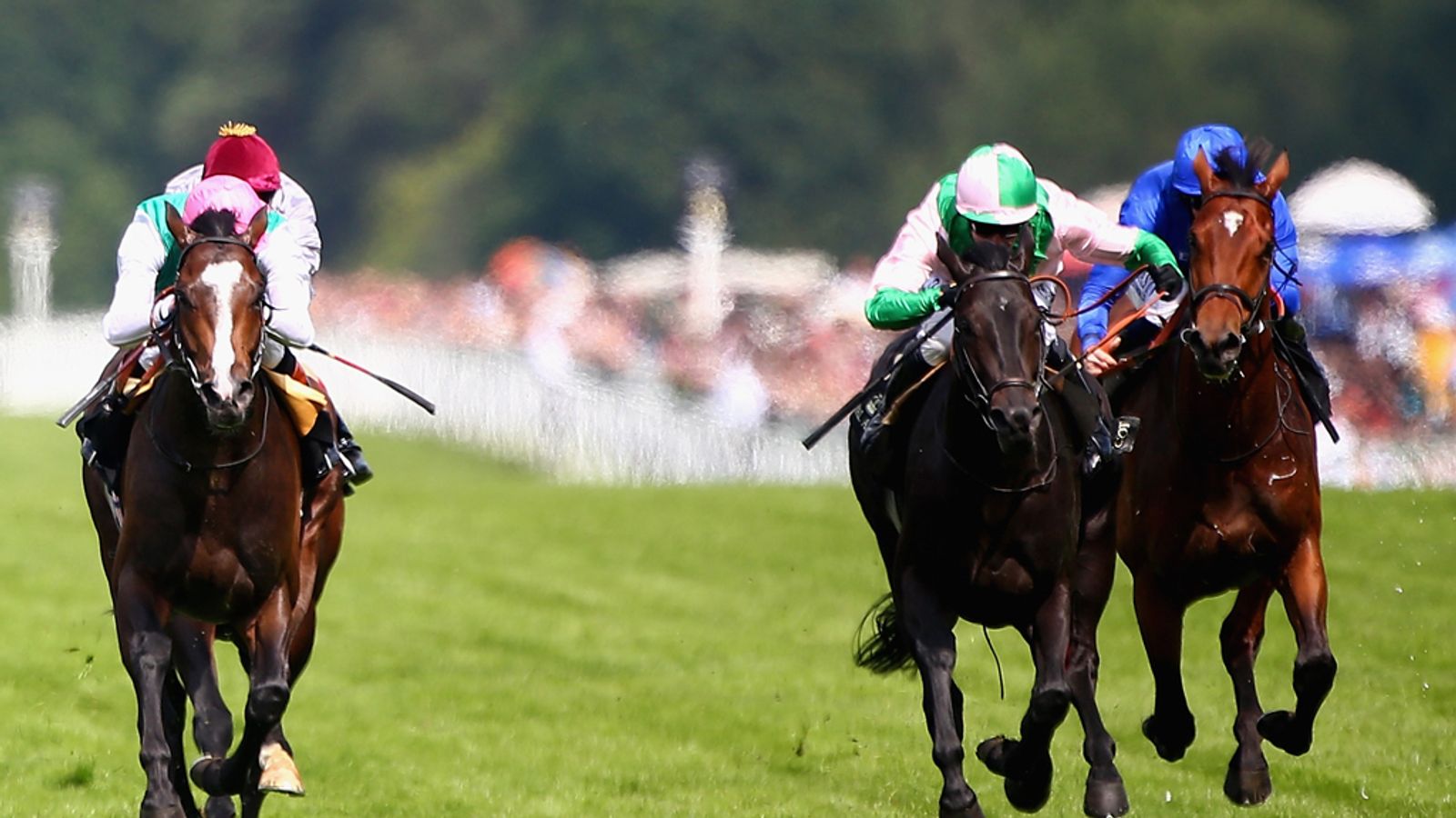 Scotland readied for St Leger tilt | Racing News | Sky Sports