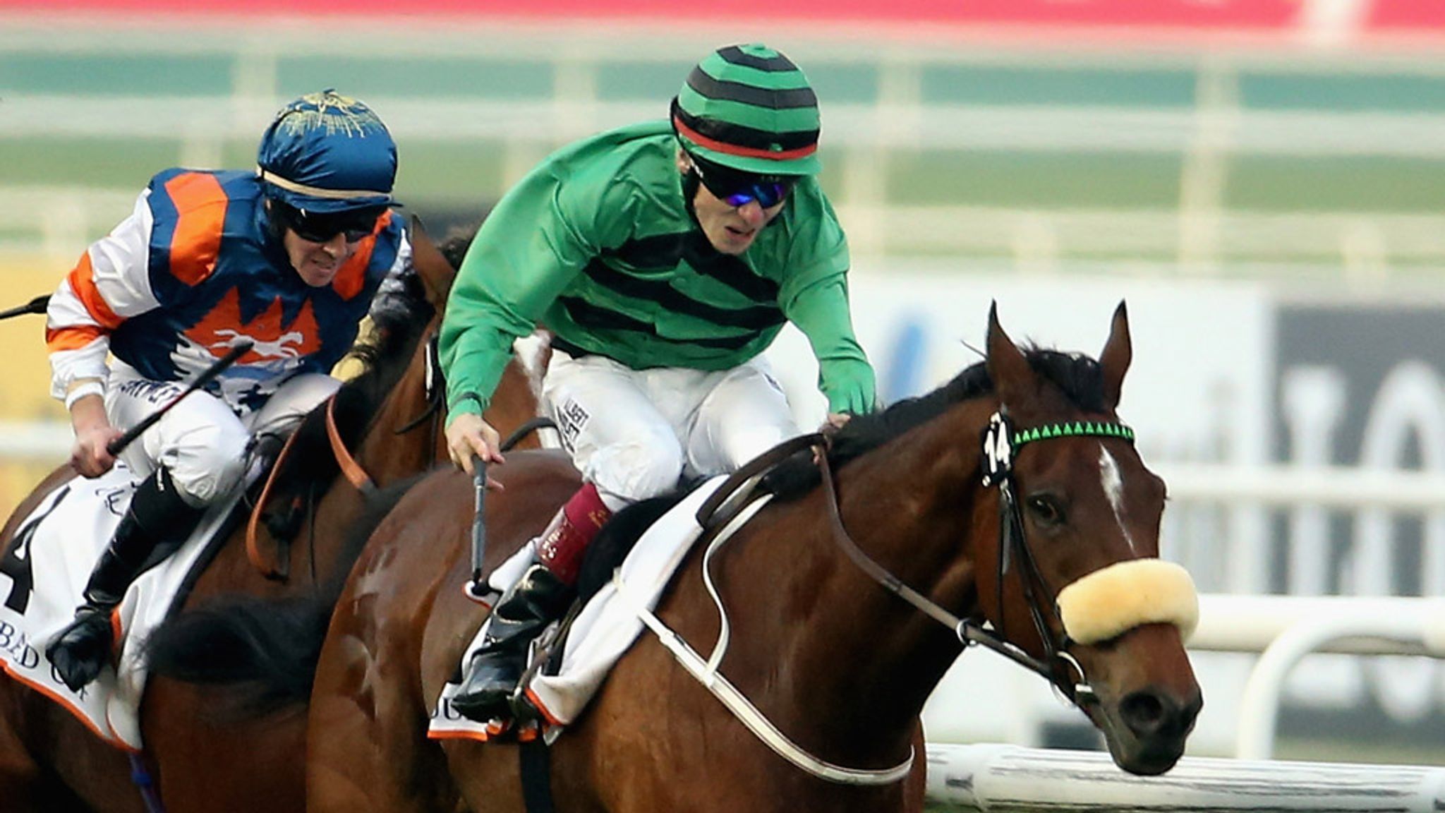 Michael Halford's smart stayer Certerach on comeback trail | Racing ...