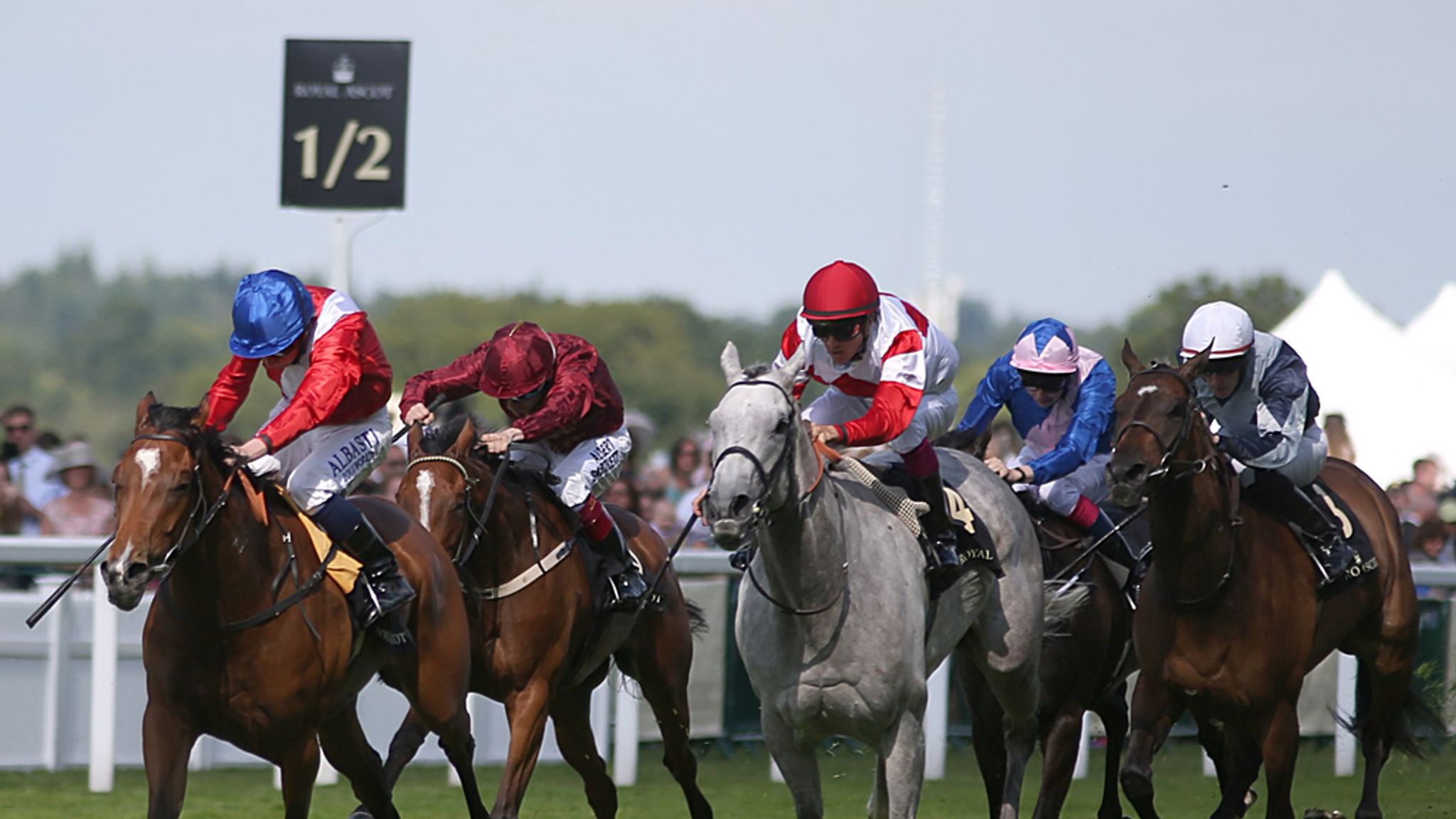 Vie team mull options | Racing News | Sky Sports