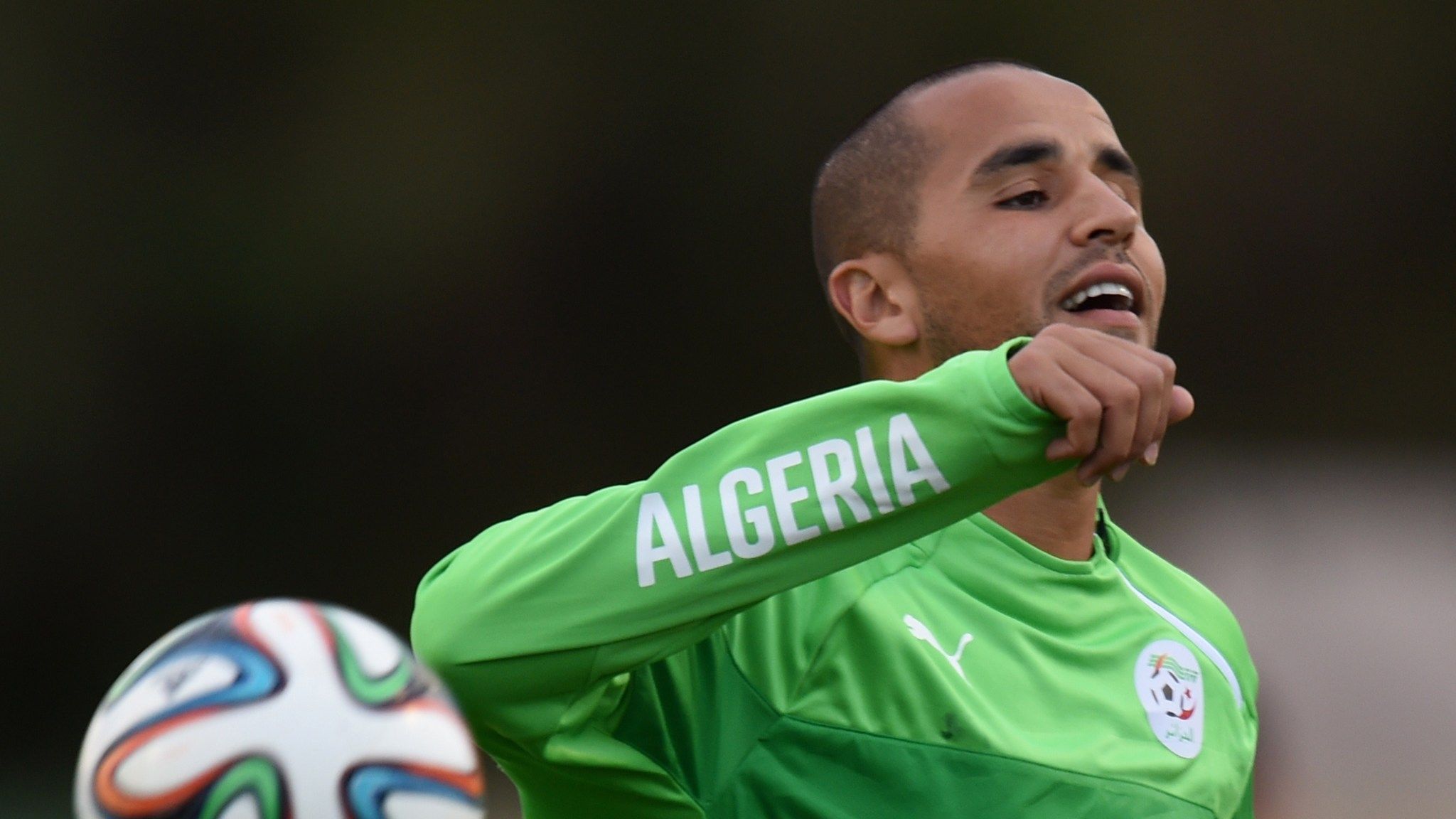 Transfer news: Free agent Madjid Bougherra is in the shop window | Football News | Sky Sports