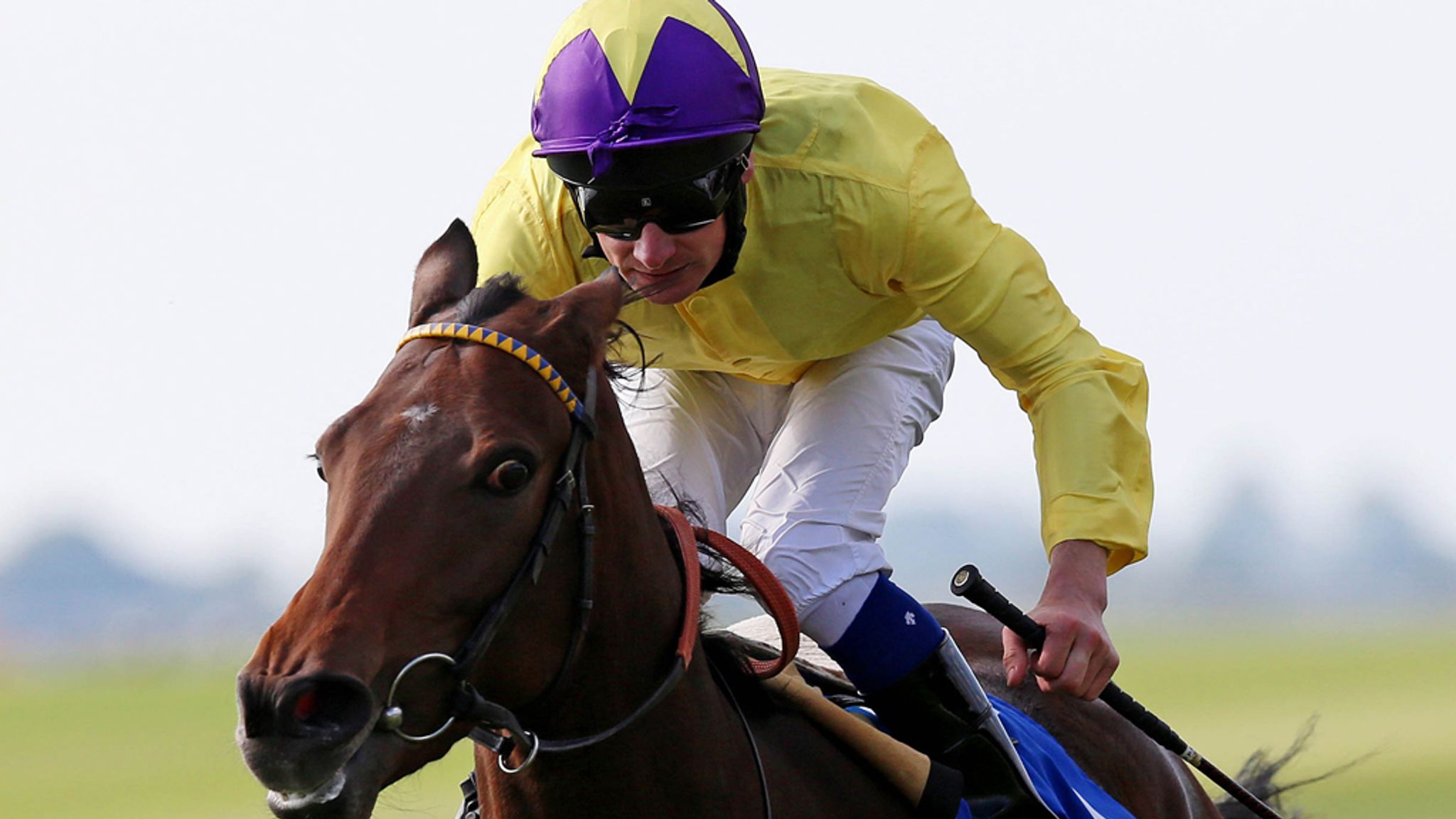 My Titania set for the Kilboy Estate Stakes at the Curragh | Racing ...