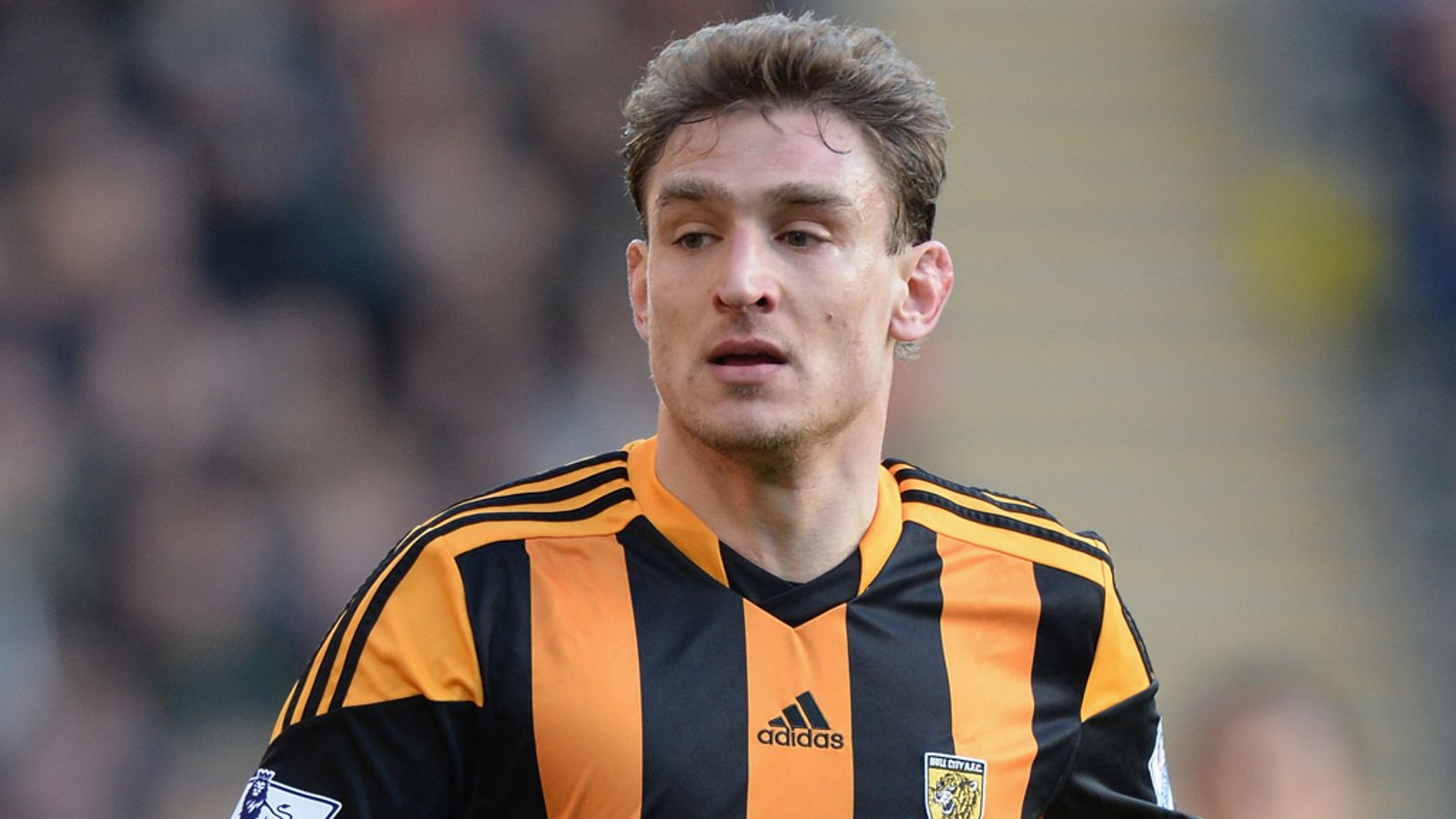 Premier League: Hull hit by injuries to Nikica Jelavic and Michael ...