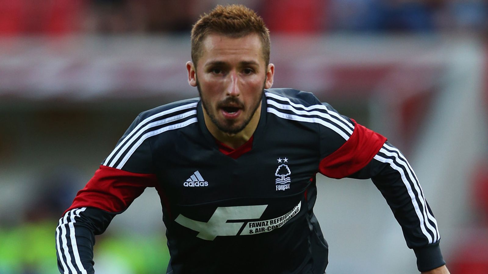 Transfer news: Huddersfield sign Radoslaw Majewski on loan from ...