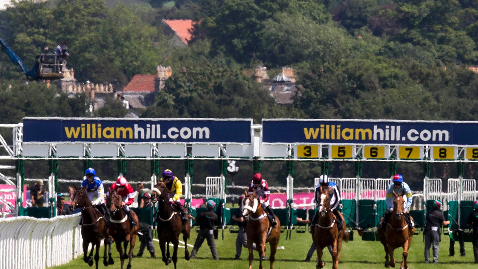 Go Dan Go slams rivals at Musselburgh | Racing News | Sky Sports