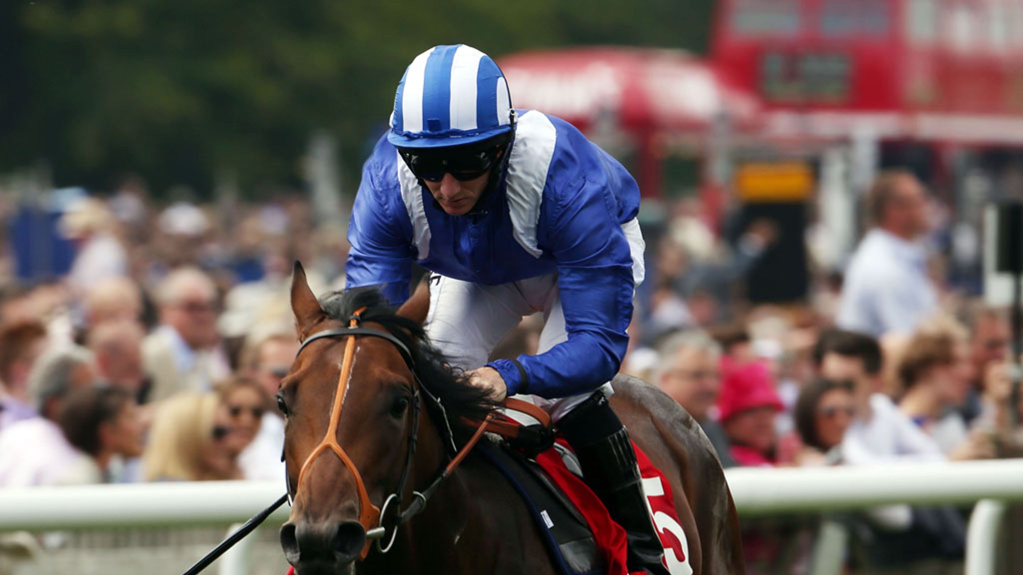 Hannon duo in Champagne Stakes | Racing News | Sky Sports