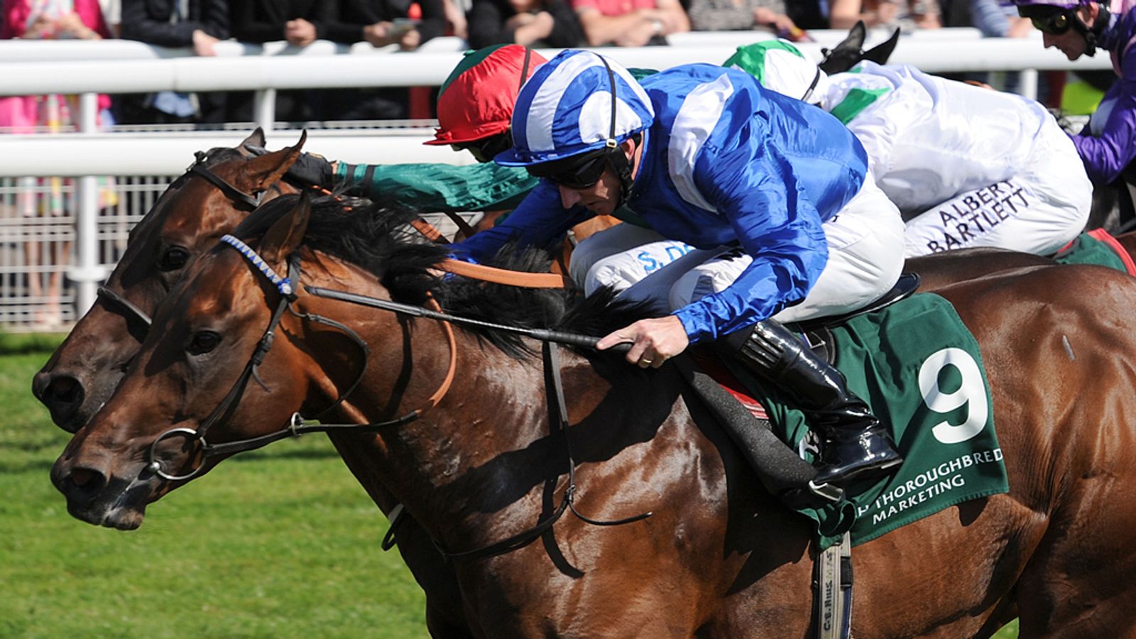 Bloodstock Bites: Chris Hill's round-up of the news from the world of ...