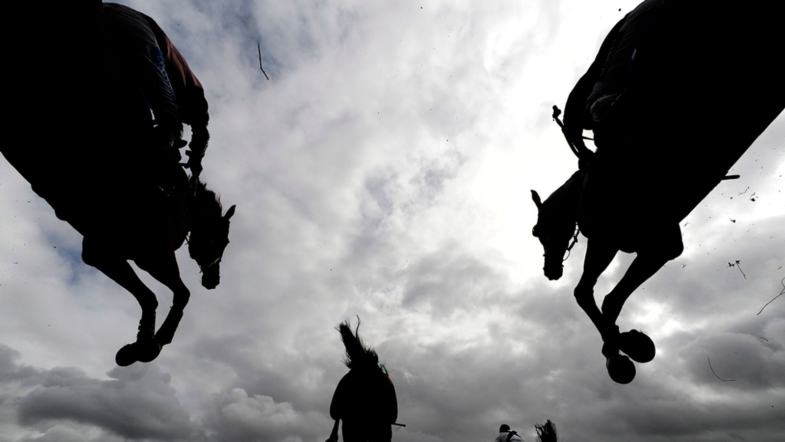 Ronan Murphy has been appointed as the new chief executive officer of ...