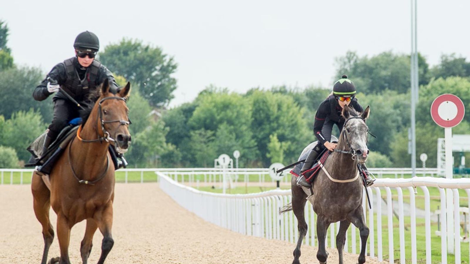 Thumbs-up for Tapeta | Racing News | Sky Sports