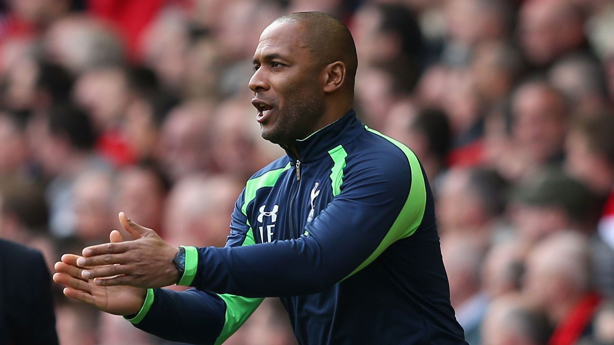 Premier League: QPR rule out director's role for Les Ferdinand ...