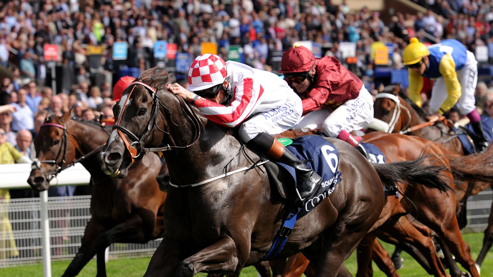 Sole Power Horse of the Year crown at the 12th Horse Racing Ireland ...