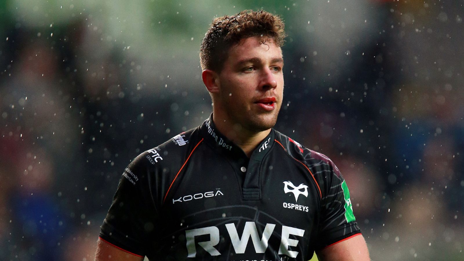 Autumn internationals huge for Wales' confidence ahead of World Cup ...