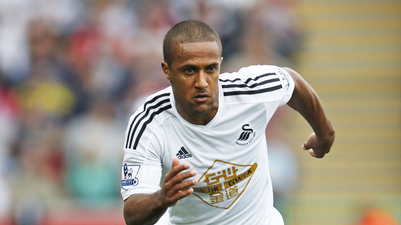 Transfer news: Swansea extend Wayne Routledge's contract to 2018 ...