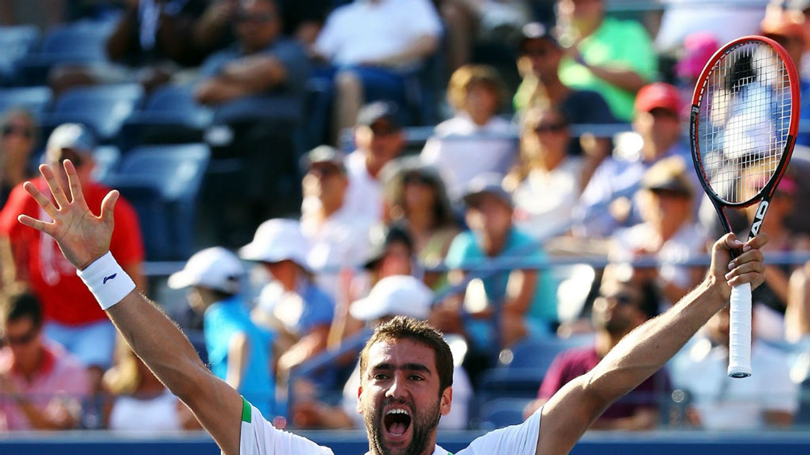 US Open 2014: Marin Cilic beats Tomas Berdych in straight sets to reach ...