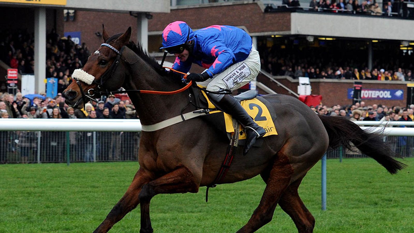 Breathing operation for Colin Tizzard's Cue Card | Racing News | Sky Sports