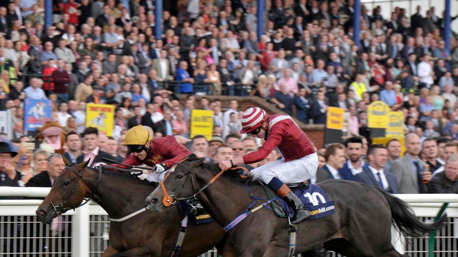Ayr Racecourse is offering free entry to its evening fixture on Monday ...
