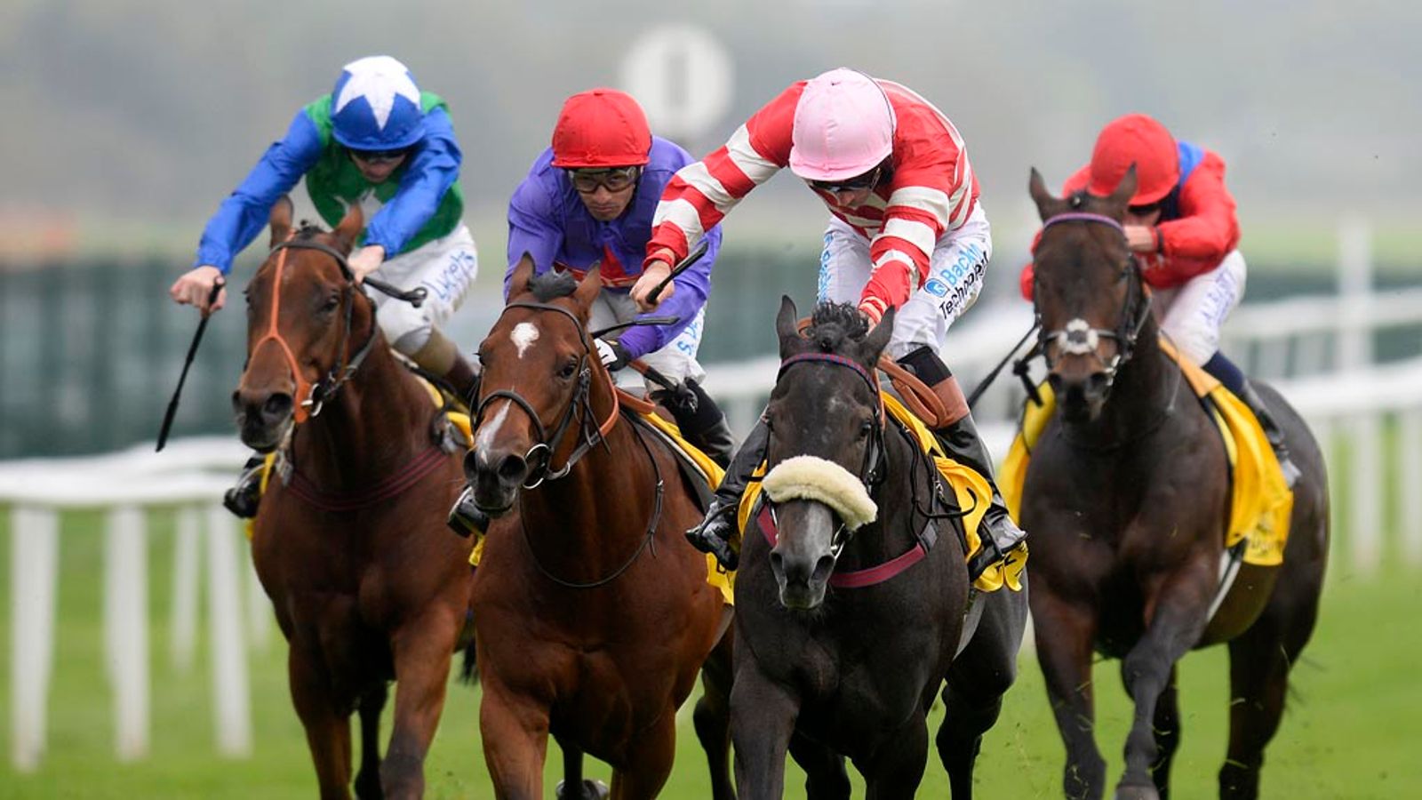 Michael Dods delighted with Easton Angel and Mecca's Angel | Racing ...