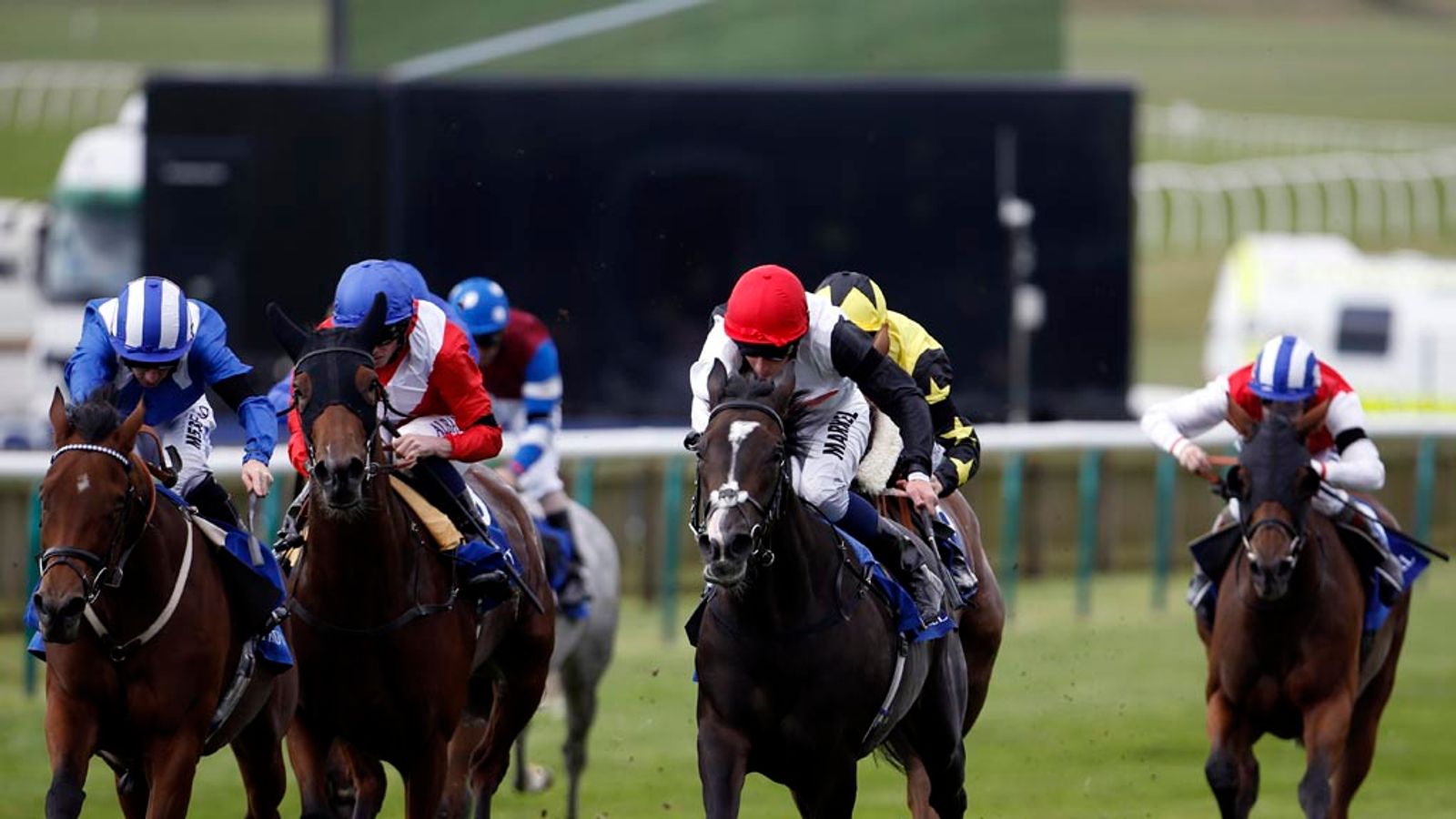 Doubles up for Haggas and Gosden | Racing News | Sky Sports