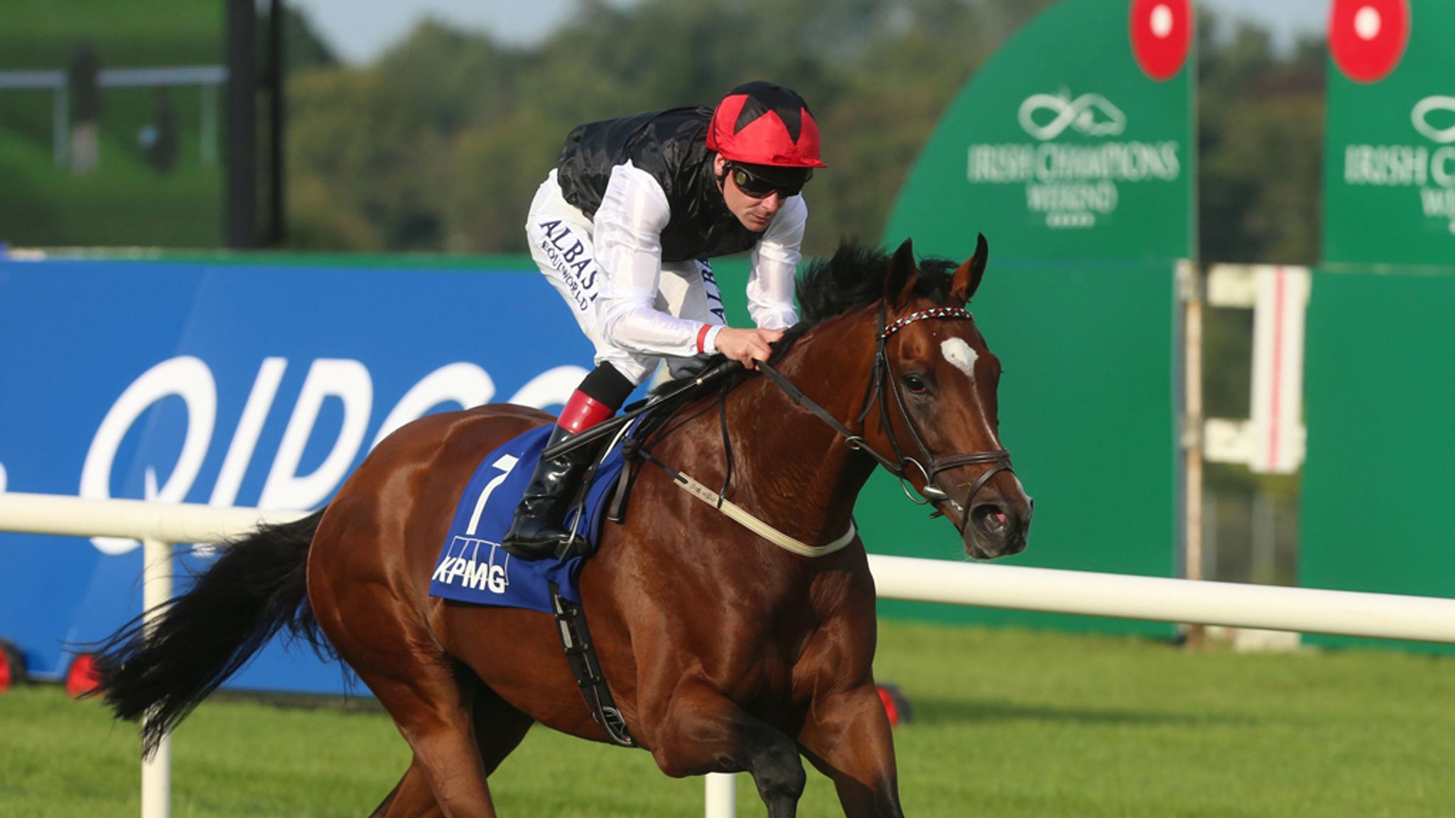 Horse racing news: Free Eagle to miss Tattersalls Gold Cup | Racing ...
