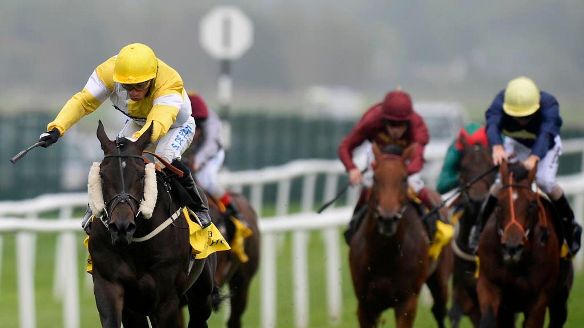 Mill Reef Stakes winner Toocoolforschool set for Breeders' Cup at Santa ...