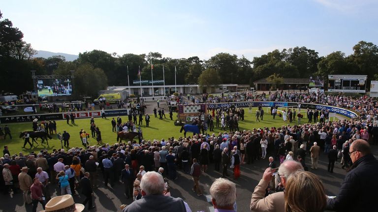 HRI chief Brian Kavanagh says there is a positive outlook for Irish ...