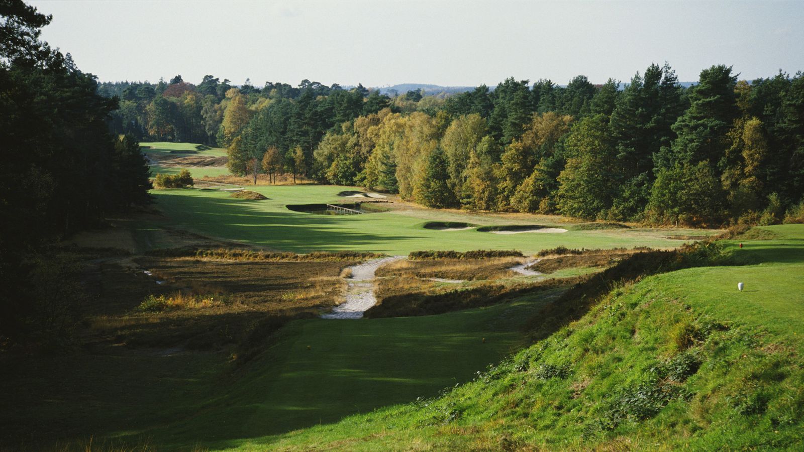 Golf: USA's Ryder Cup taskforce has some strange names on it, says Rob ...