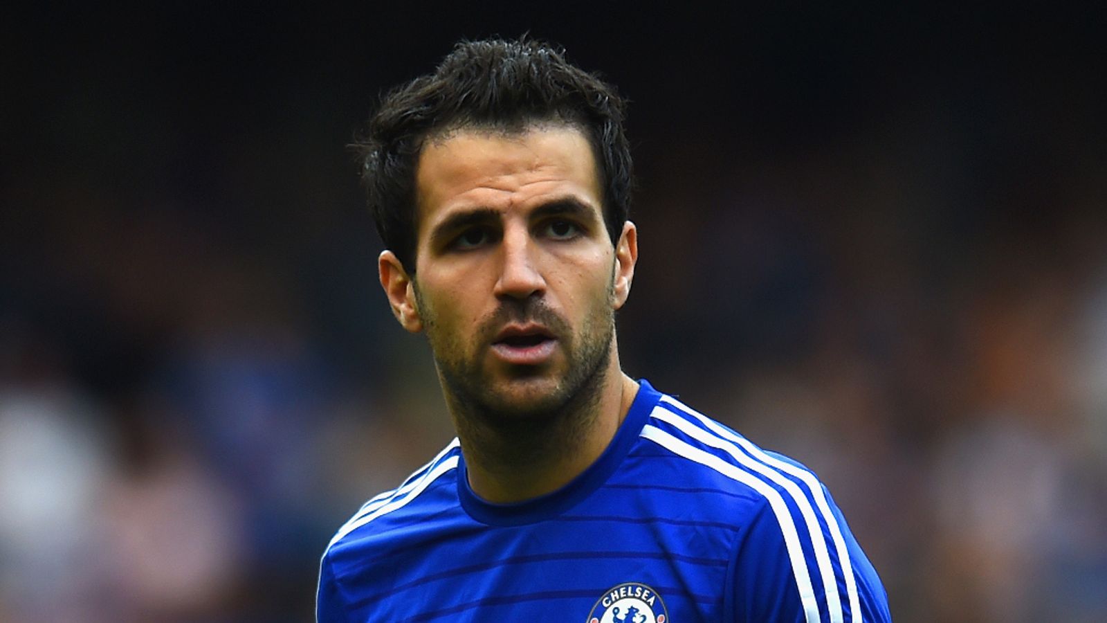 Chelsea midfielder Cesc Fabregas is out of Spain’s matches with Belarus ...