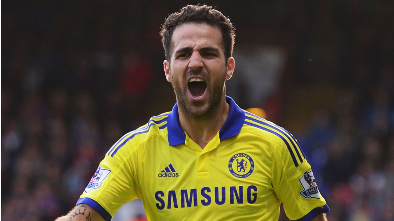 Jose Mourinho: Cesc Fabregas scored goal of the season in Chelsea win ...