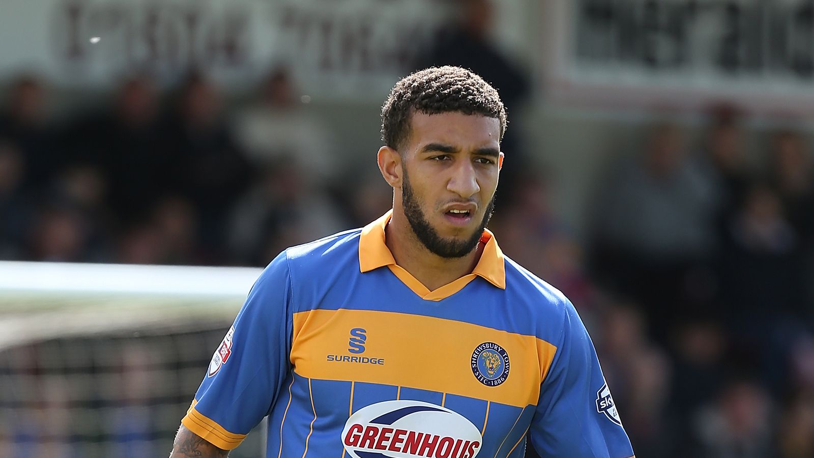 Goldson wins it for Shrews | Football News | Sky Sports