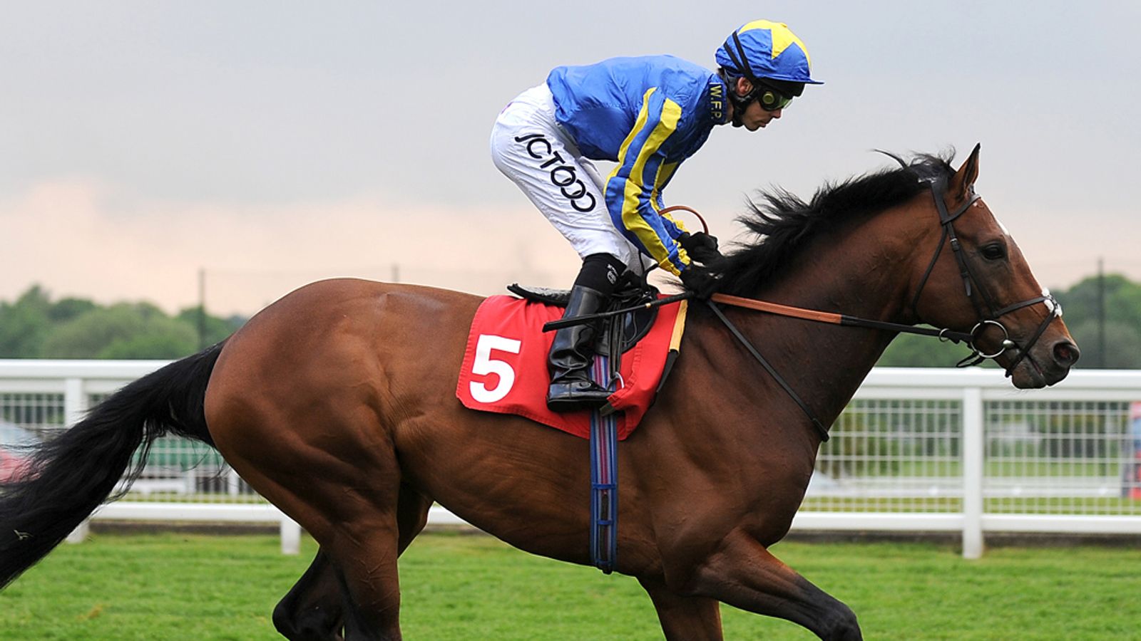 High Jinx out for the season | Racing News | Sky Sports