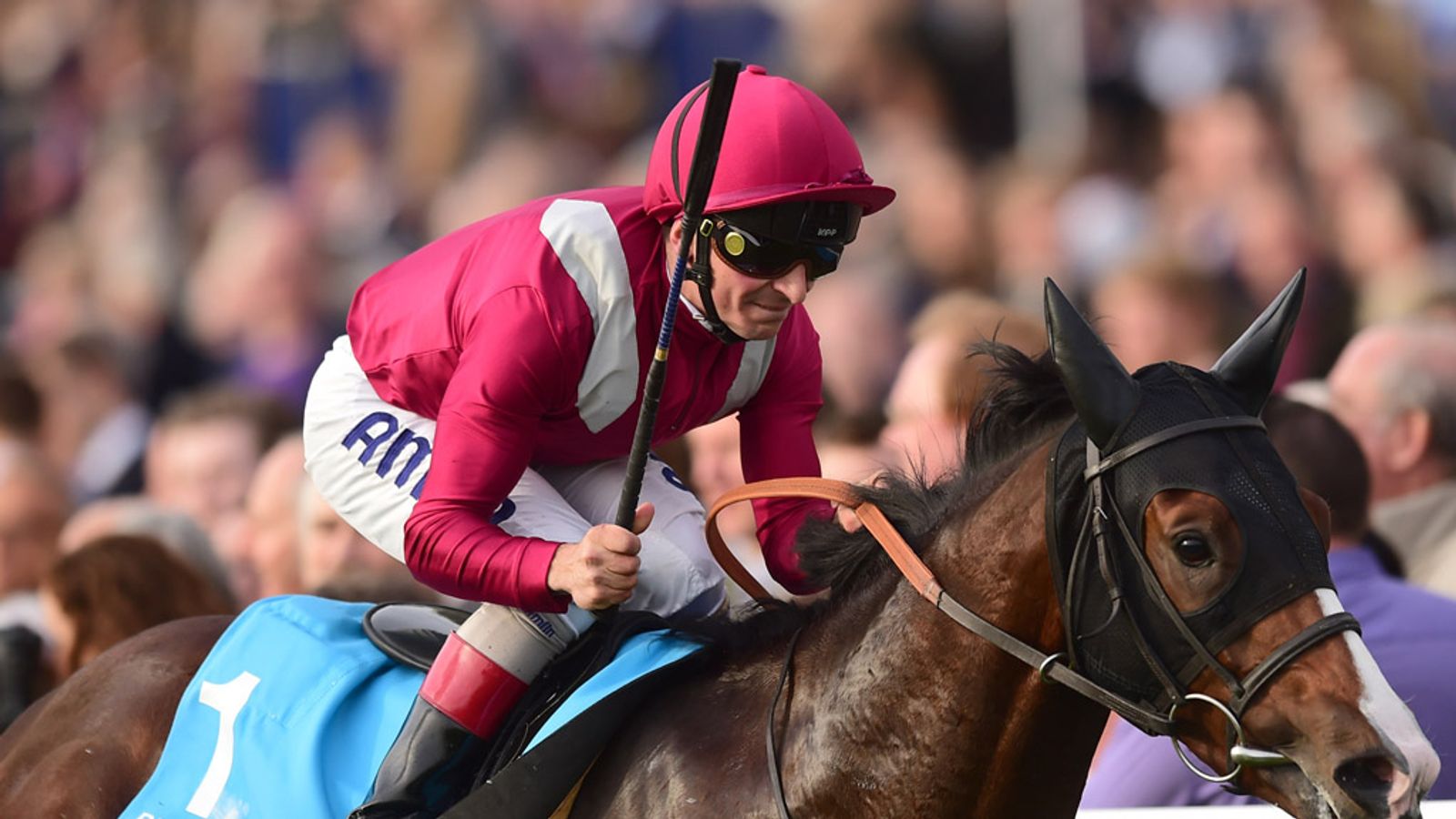 Chantilly an option for Belardo | Racing News | Sky Sports