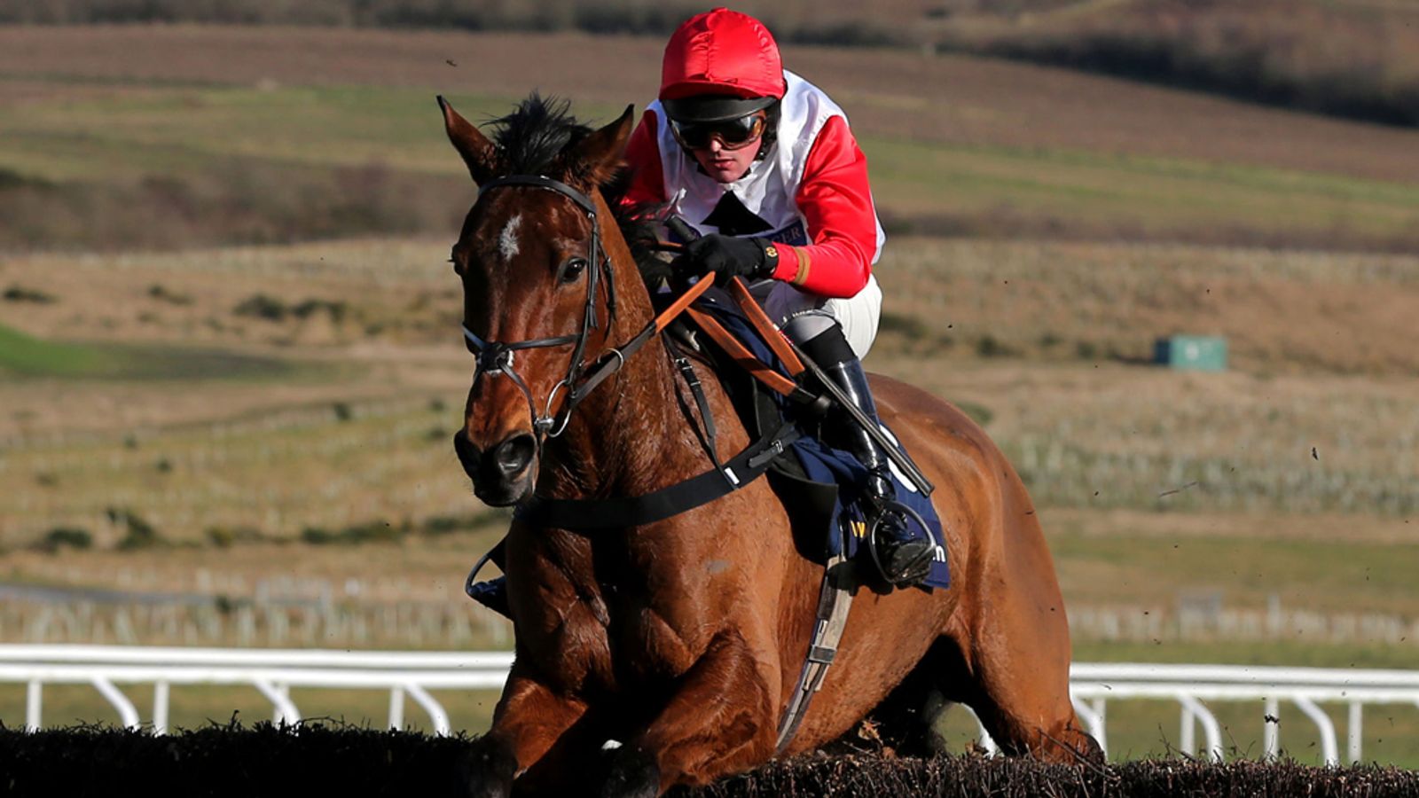 Carruthers Midlands National bid | Racing News | Sky Sports