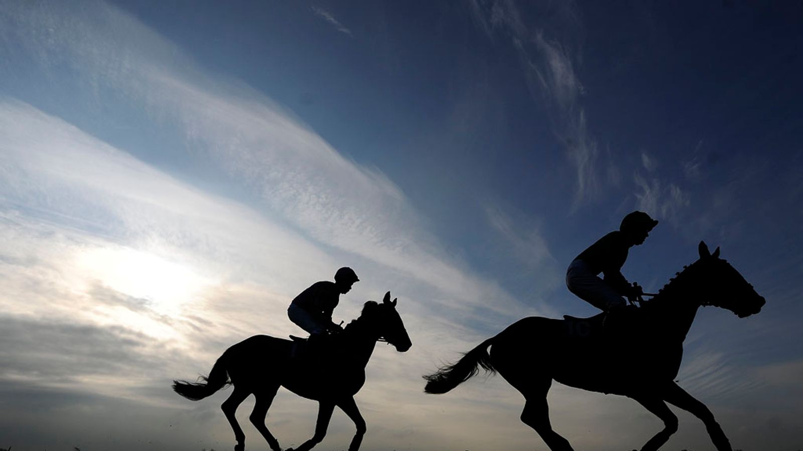 Racing: Field sizes under BHA microscope | Racing News | Sky Sports