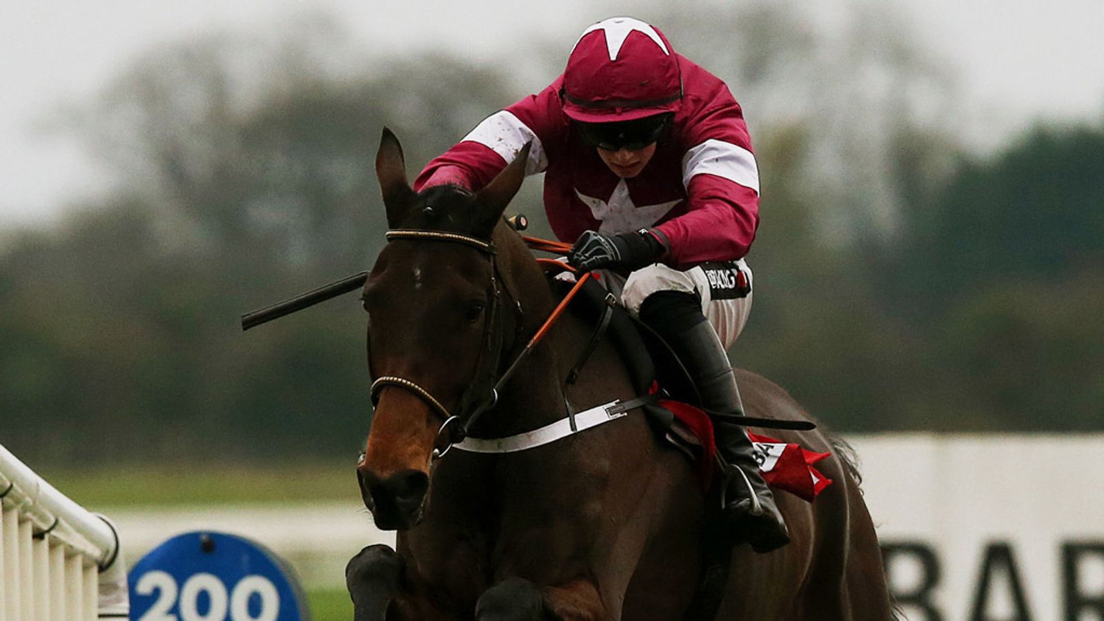 Lieutenant Colonel and Sandra Hughes vie for Cheltenham World Hurdle ...