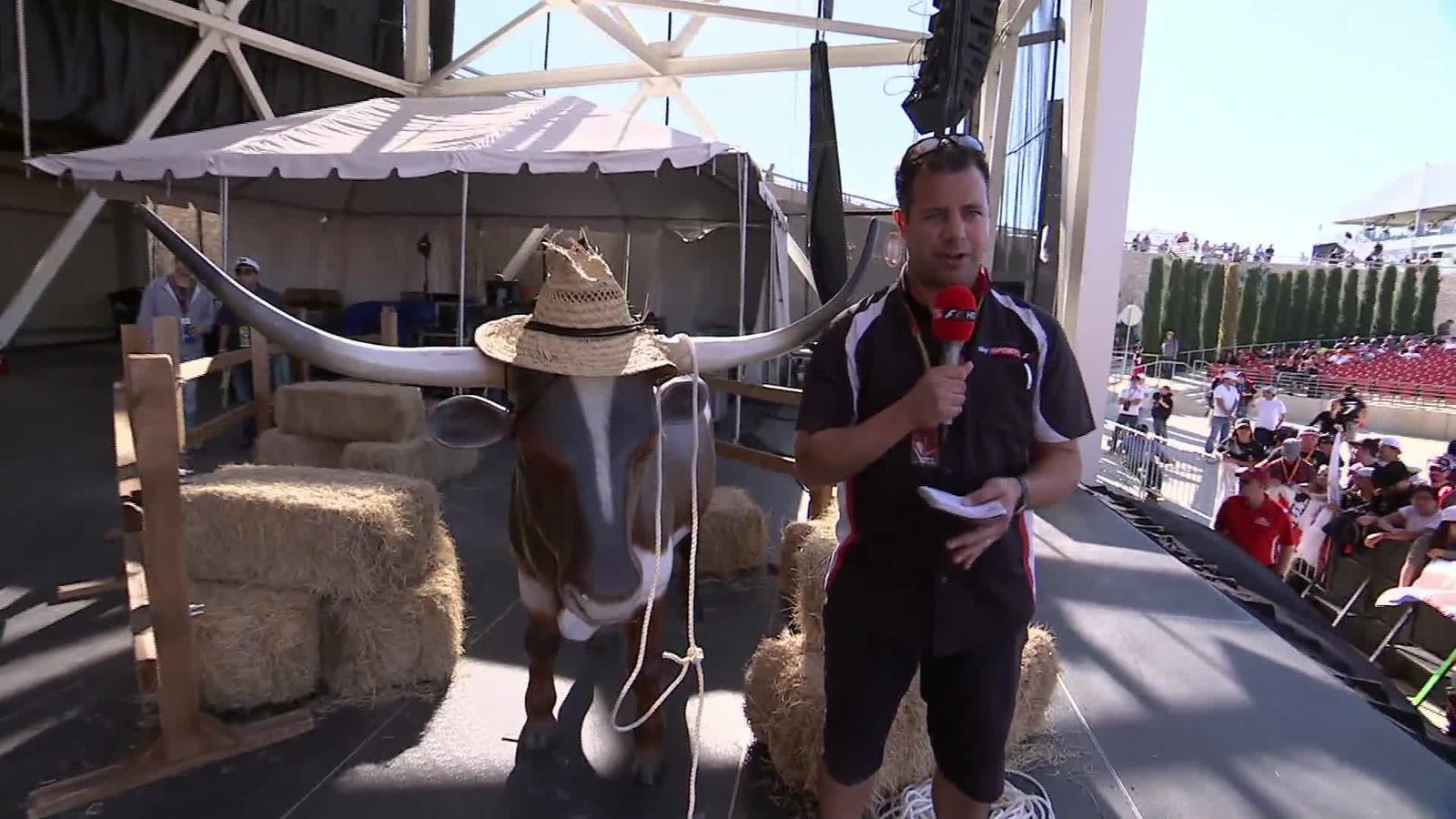 Ted's Qualifying Notebook - United States | F1 News | Sky Sports