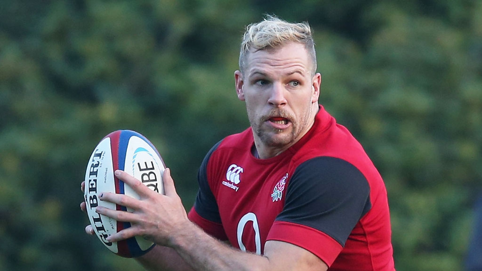 James Haskell accepts Ireland tactics in Six Nations win over England ...