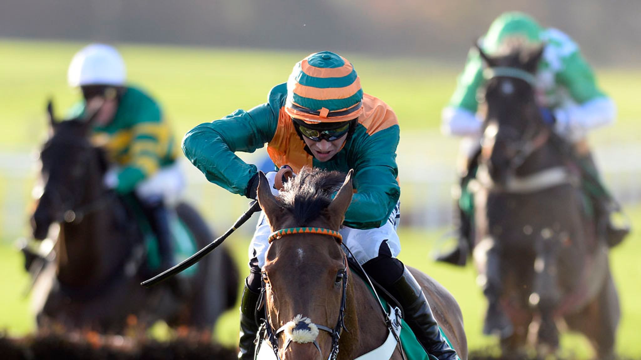 Cole Harden will not run in the Squared Financial Christmas Hurdle at ...