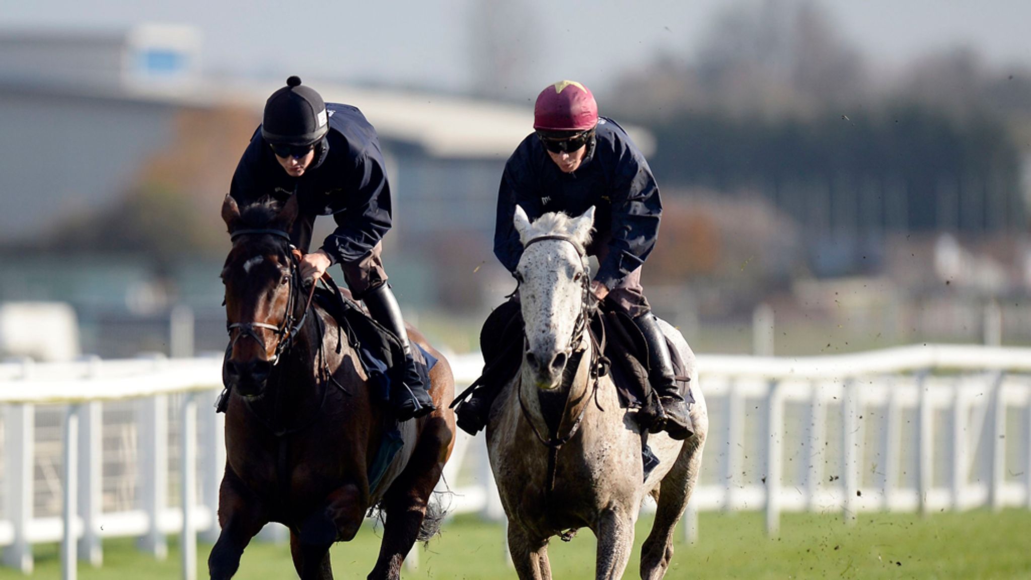 Smad Place could still chase Gold Cup dream, according to Alan King ...