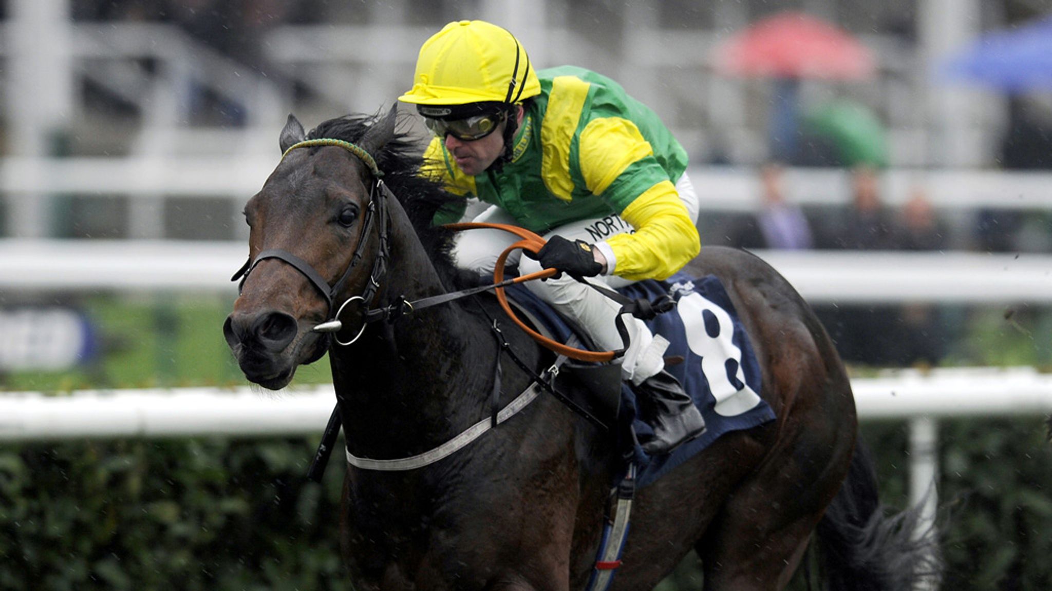 Dean Ivory hopes Stake Acclaim goes well at York | Racing News | Sky Sports