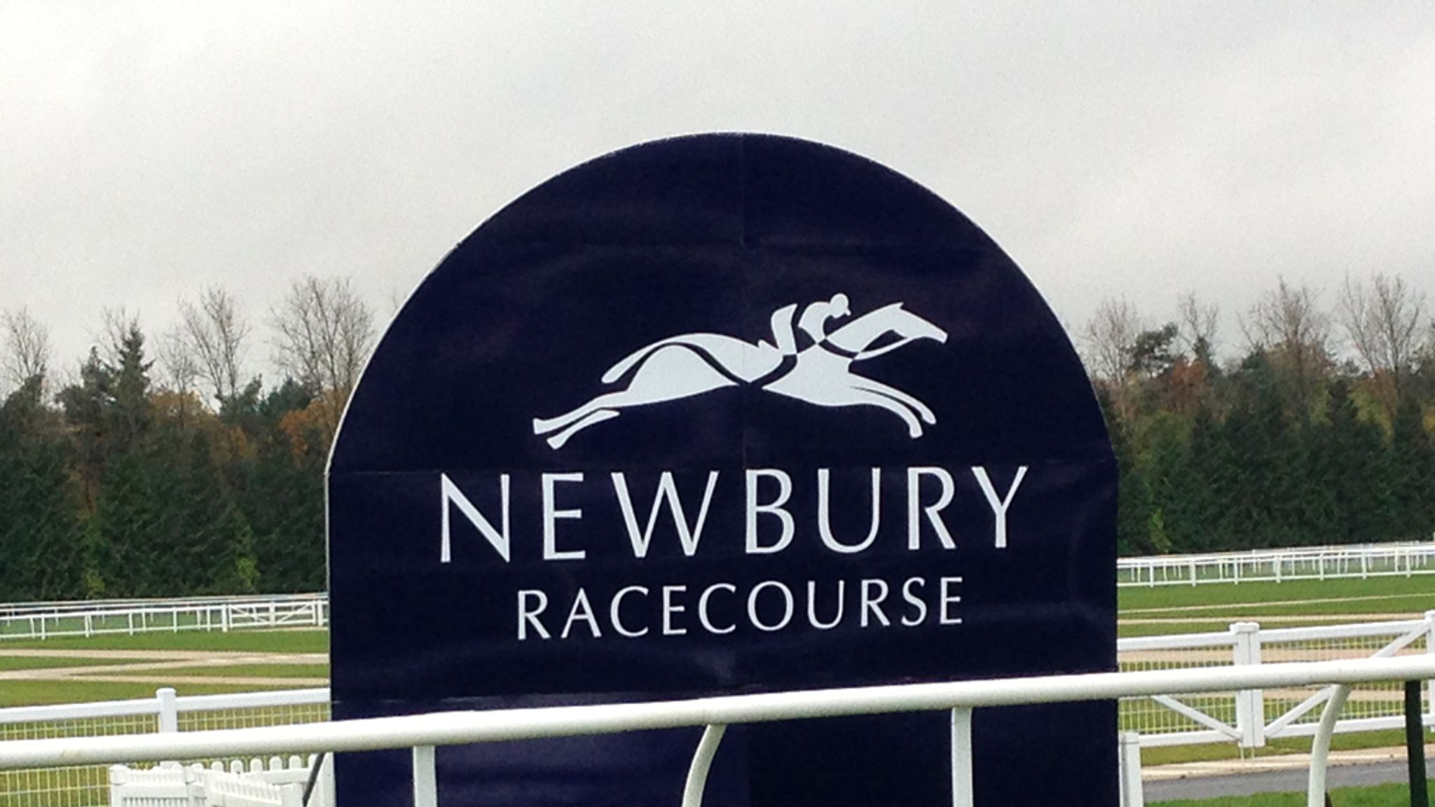 Newbury going delights Osgood ahead of the Hennessy Festival. | Racing ...