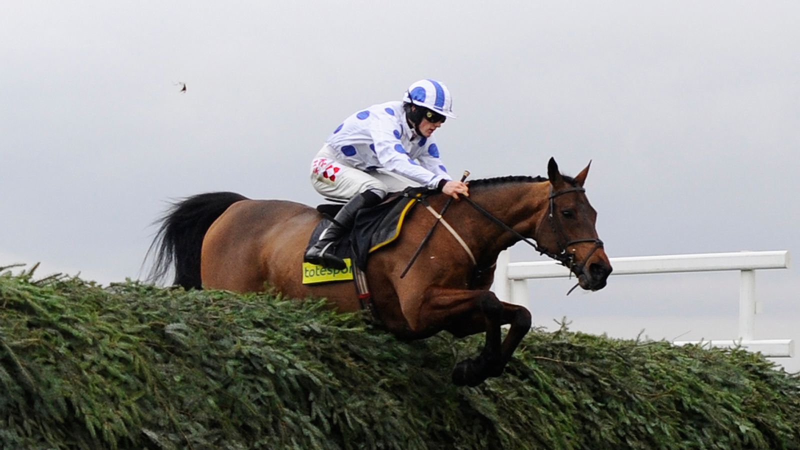 Course watered at Aintree for Grand National | Racing News | Sky Sports