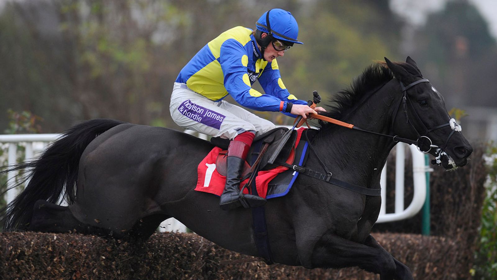 Paul Nicholls books Gavin Sheehan to ride Black Thunder in Grand ...