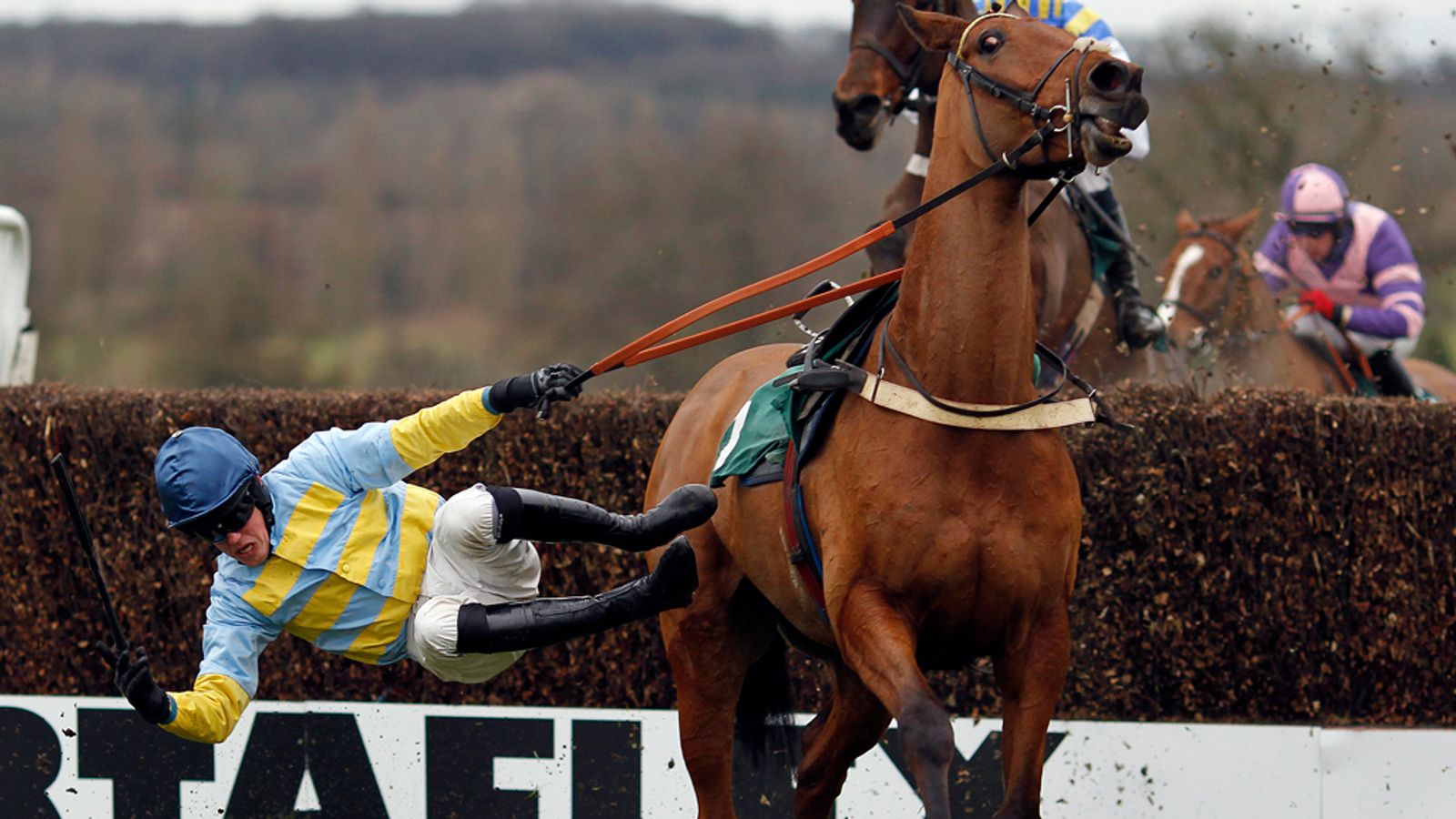 Sir Anthony McCoy and Richard Dunwoody in concussion research project ...