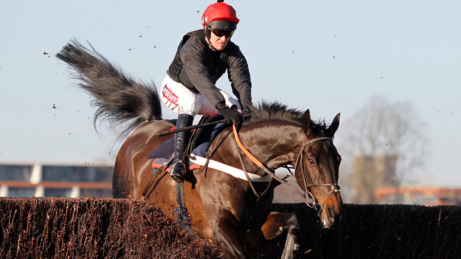 Queen Mother Champion Chase: Sprinter Sacre back to school at Newbury ...