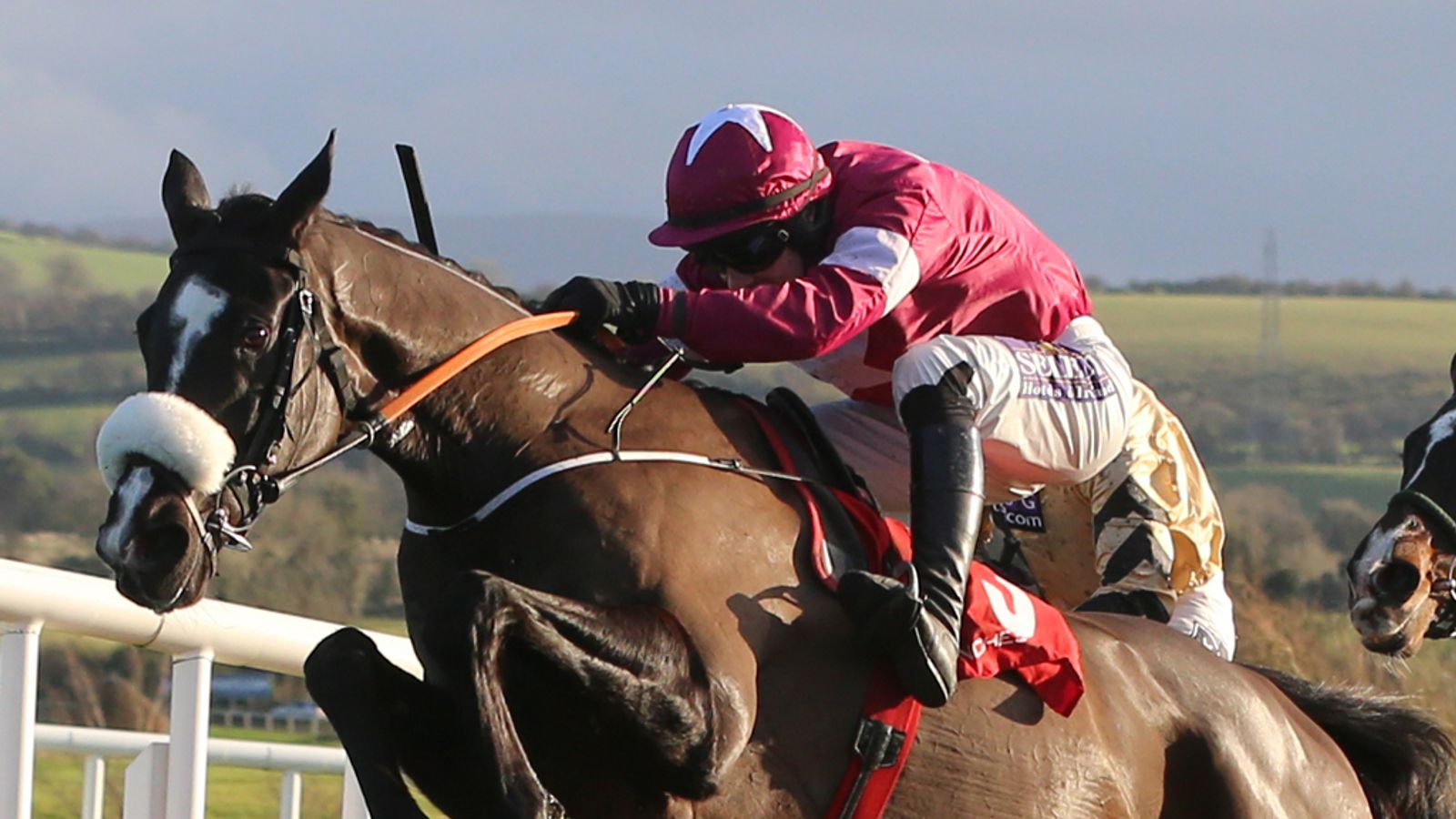 Thurles the next stop for Don Cossack | Racing News | Sky Sports