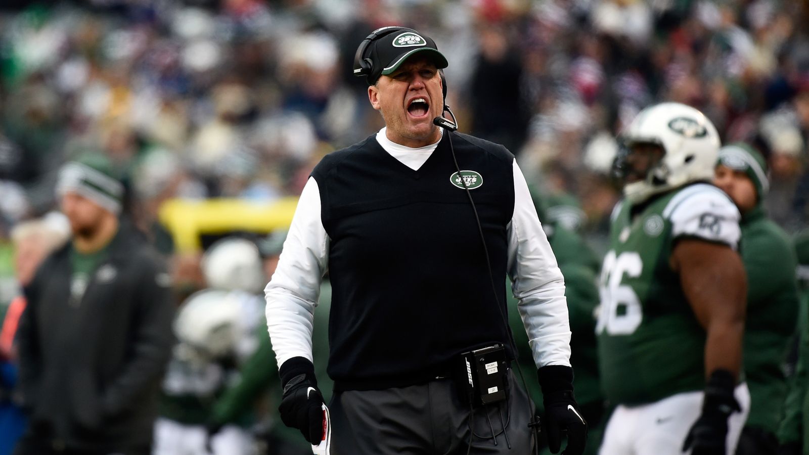 NFL: Rex Ryan named as new head coach of Buffalo Bills | NFL News | Sky ...